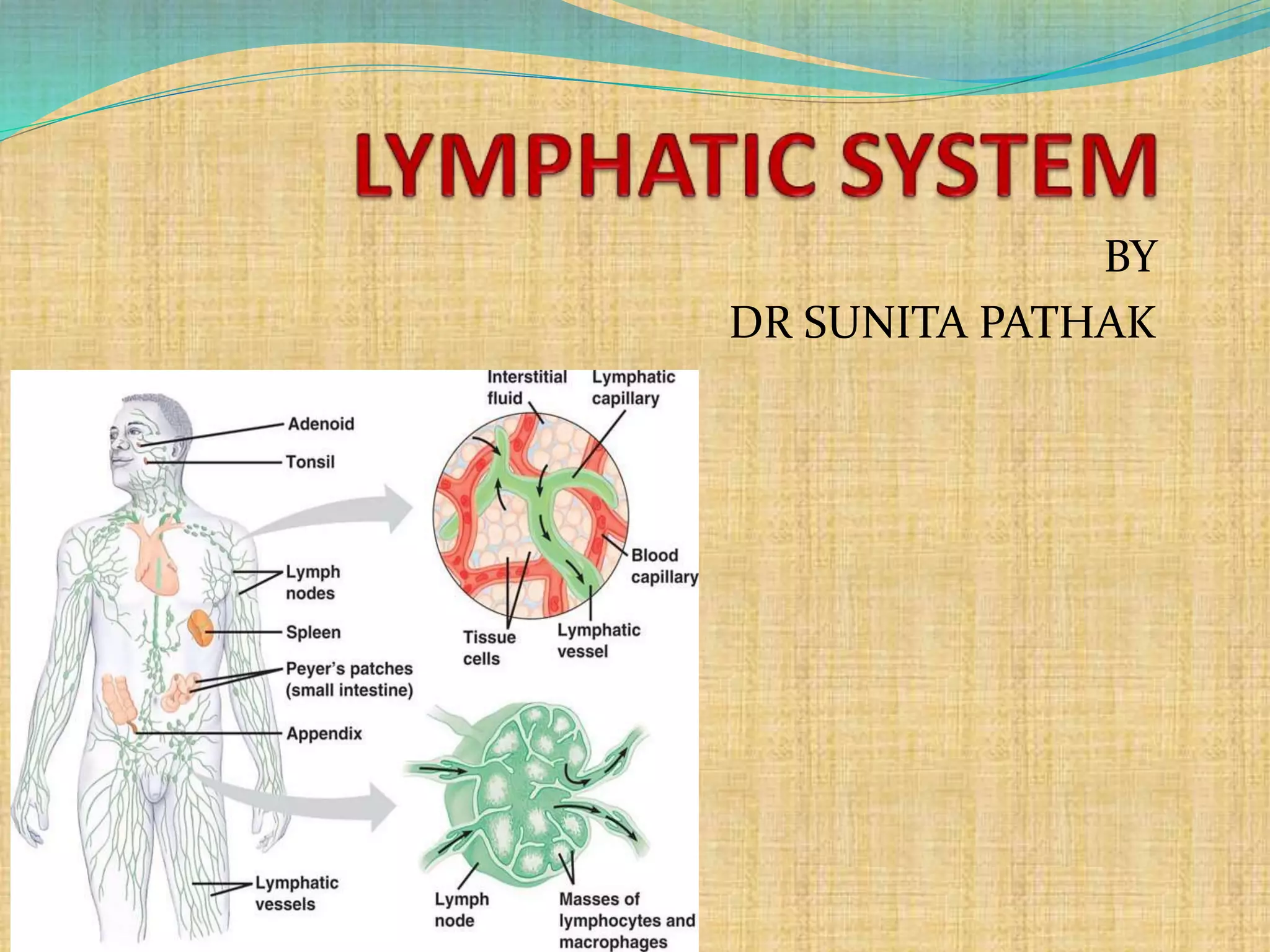 Lymphatic system | PPTX