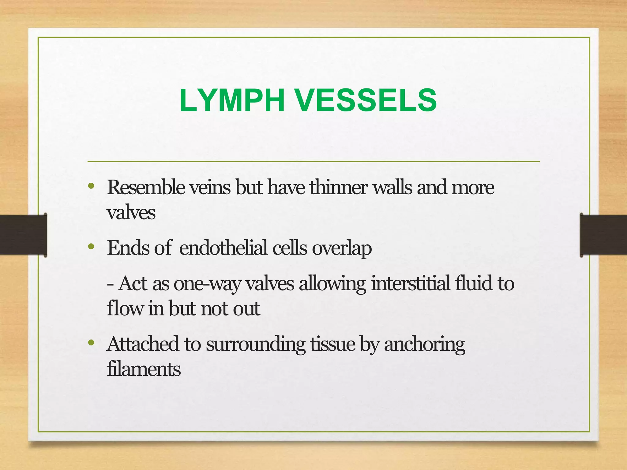 Lymphatic System.pptx