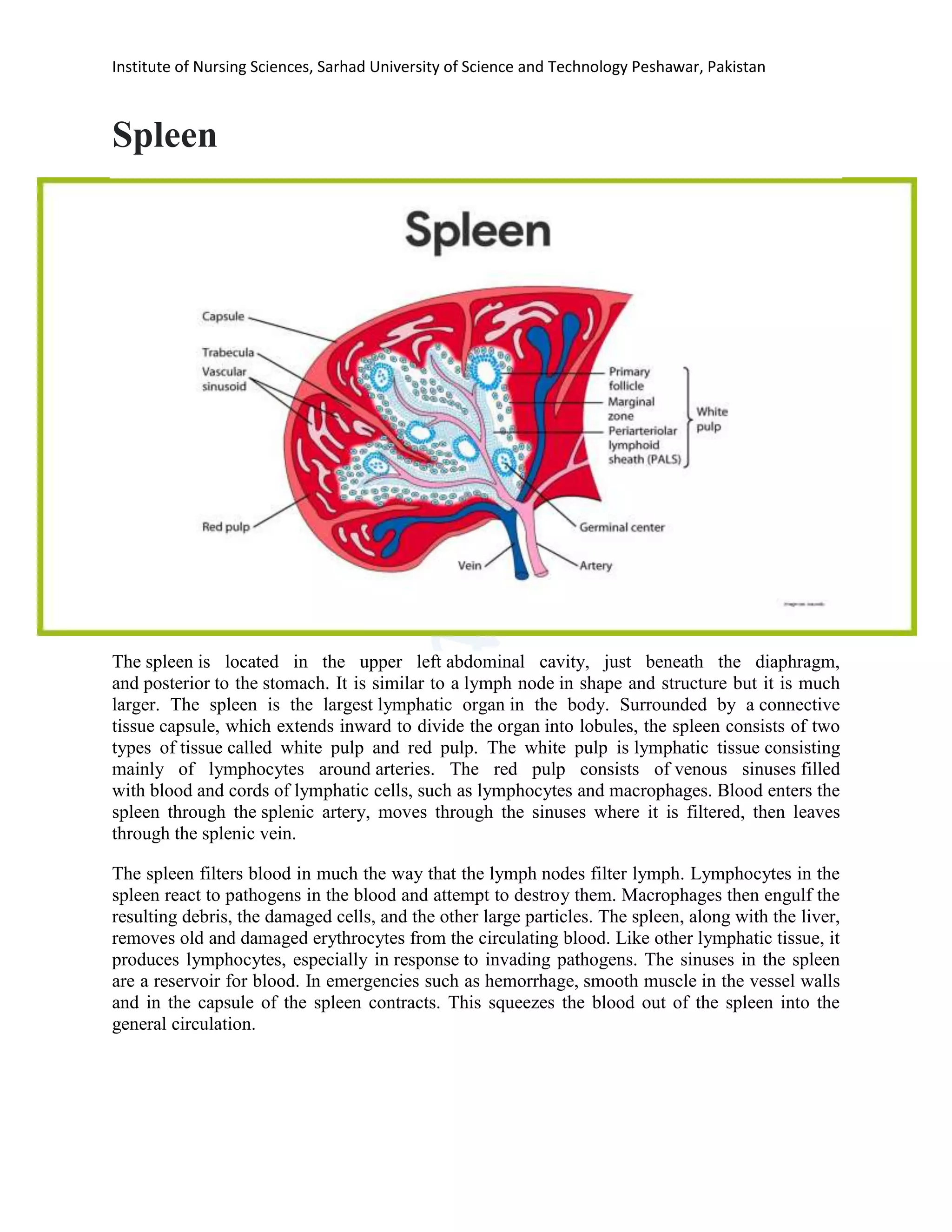 Lymphatic System.docx