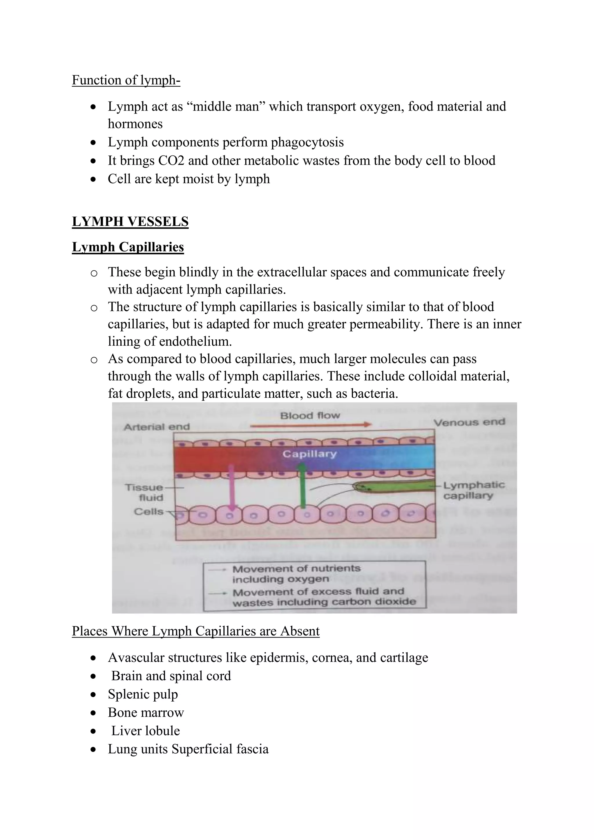 Lymphatic system.docx