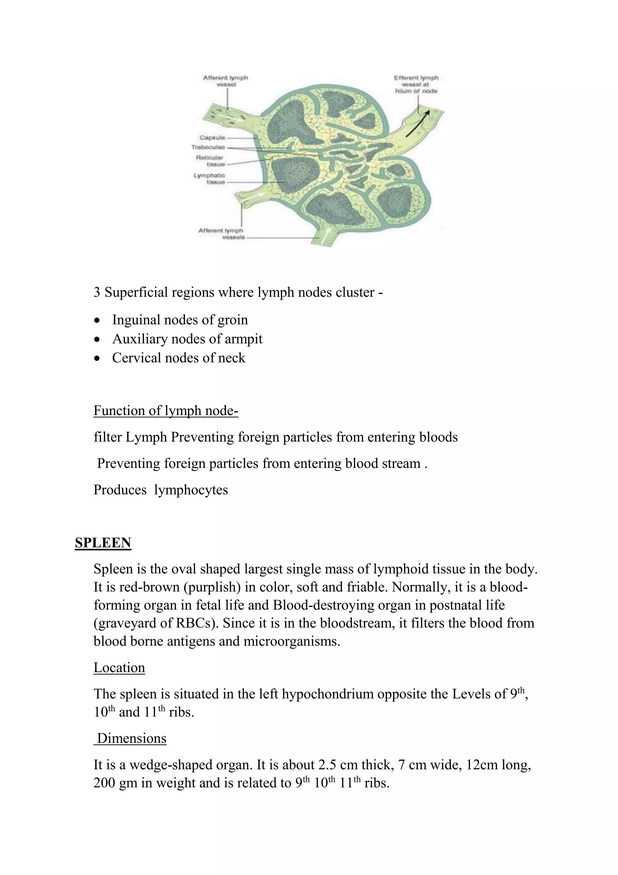 Lymphatic system.docx