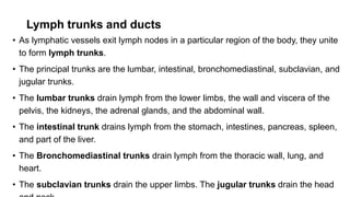 Lymphatic System.pptx