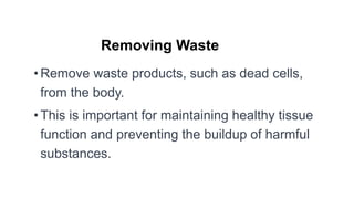 Lymphatic System.pptx | Biological Sciences | Science