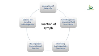 lymphatic system.pptx