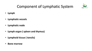 lymphatic system.pptx
