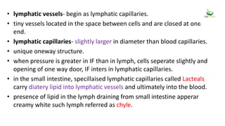lymphatic system.pptx
