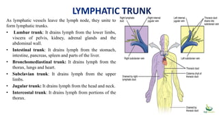 lymphatic system.pptx