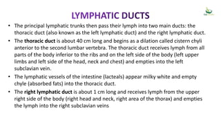 lymphatic system.pptx