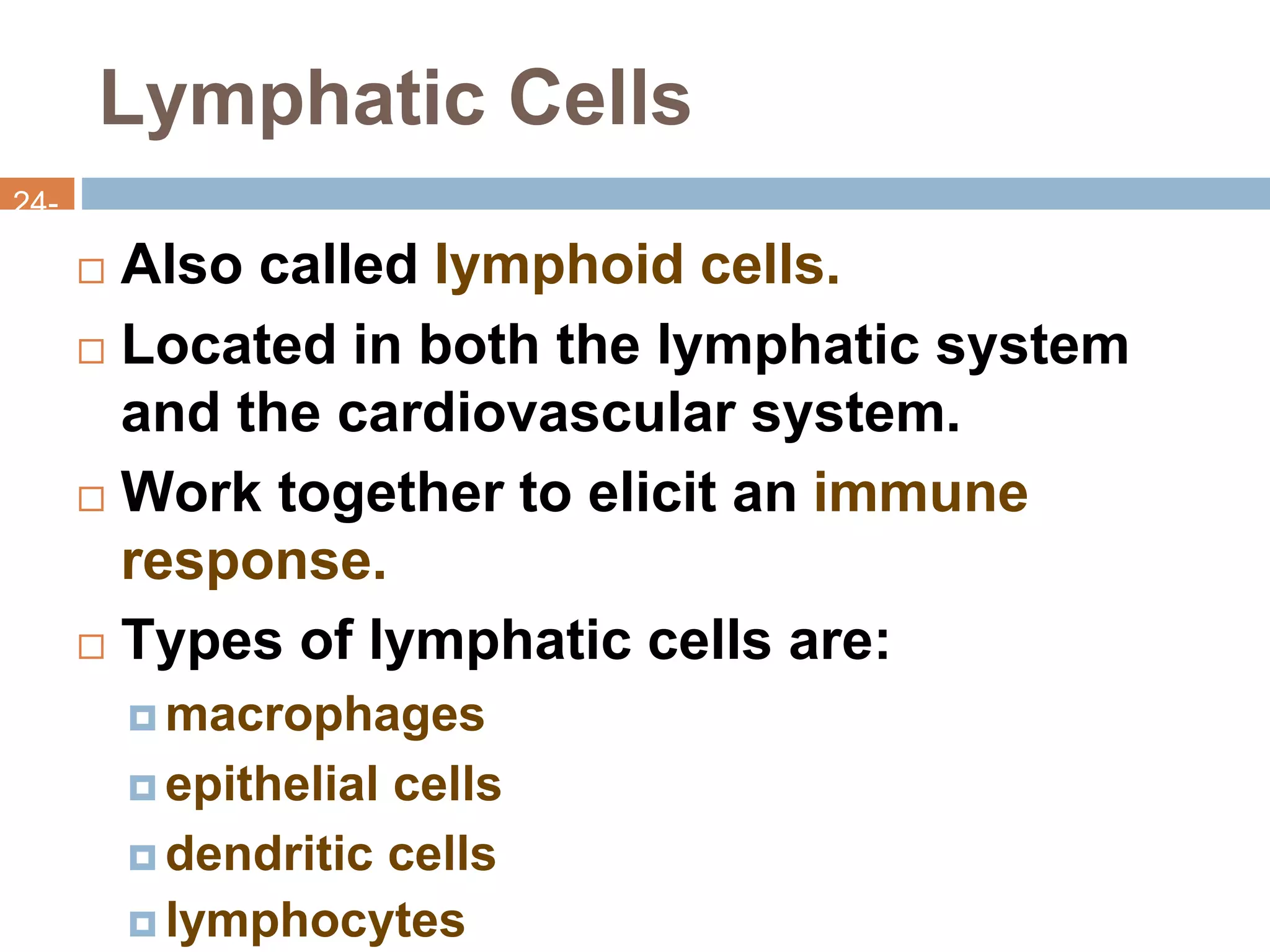 lymphatic_system.ppt