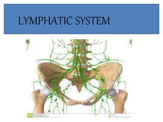 Lymphatic system.ppt
