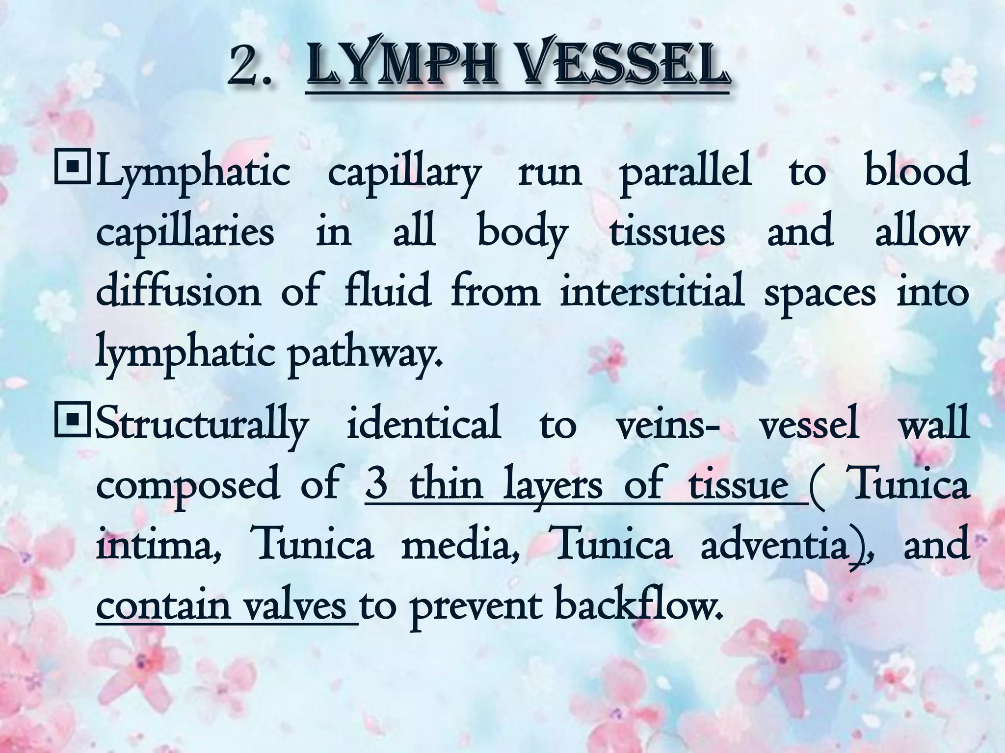 lymphatic system.pdf