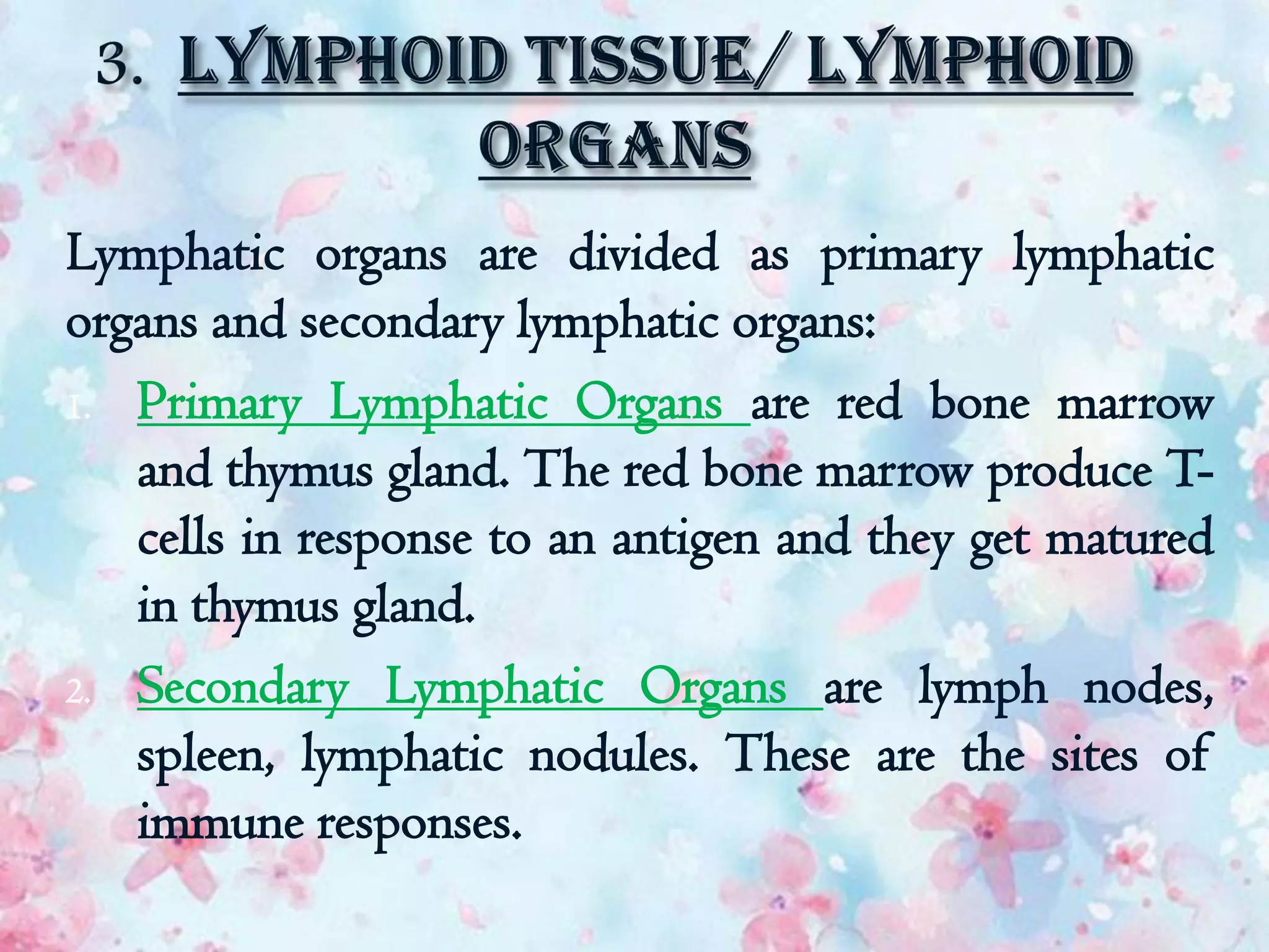 lymphatic system.pdf