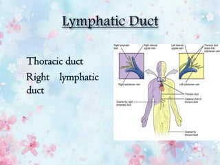 lymphatic system.pdf