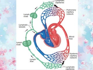 lymphatic system.pdf
