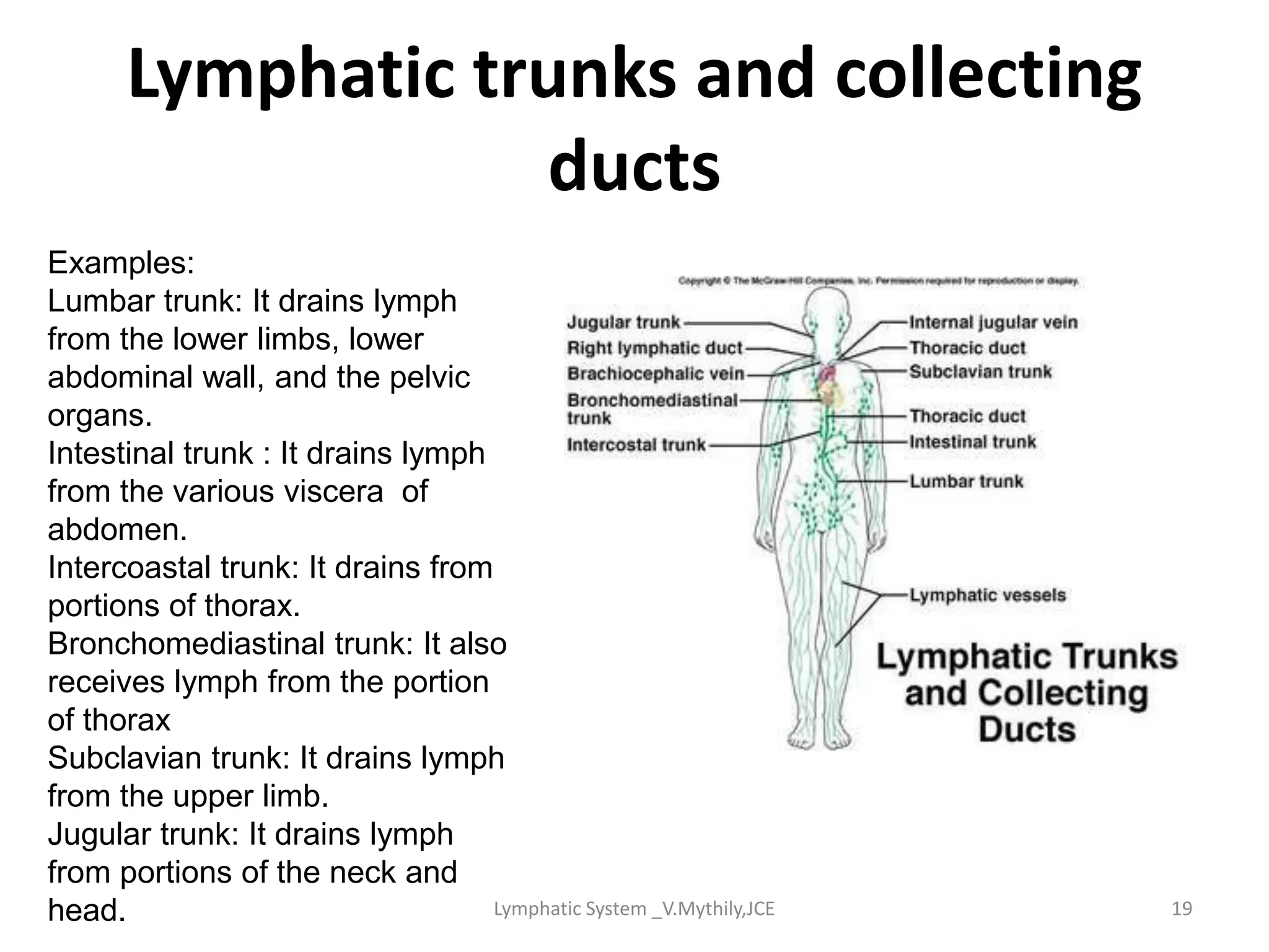 Lymphatic system.ppt