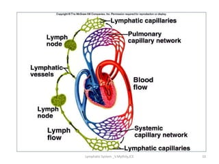 Lymphatic system.ppt