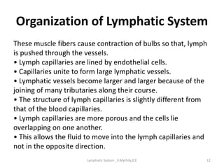 Lymphatic system.ppt