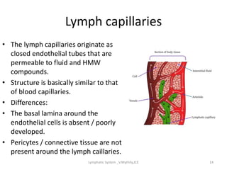 Lymphatic system.ppt