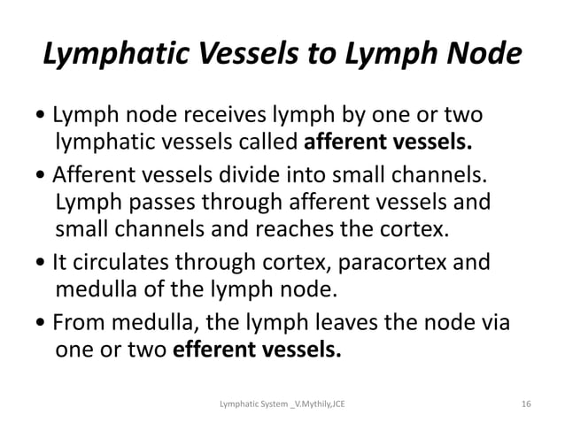 Lymphatic system.ppt