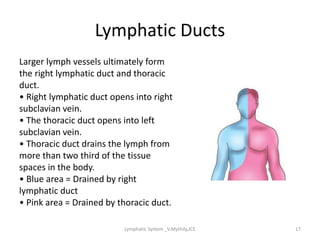 Lymphatic system.ppt
