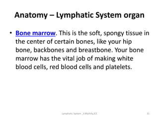 Lymphatic system.ppt