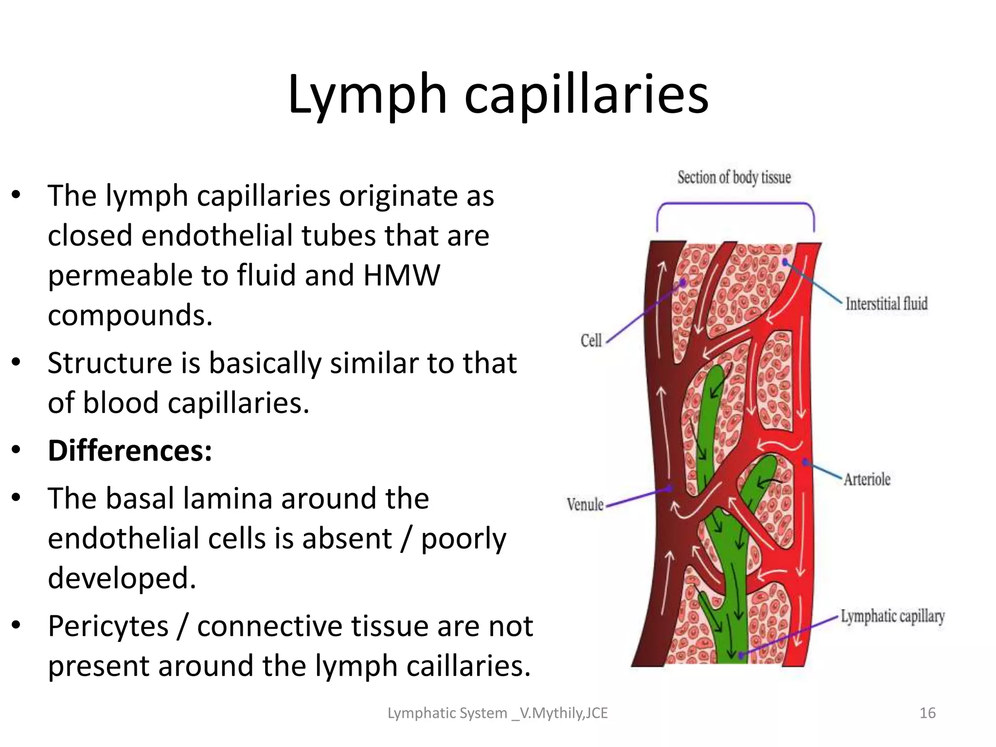 Lymphatic system.ppt