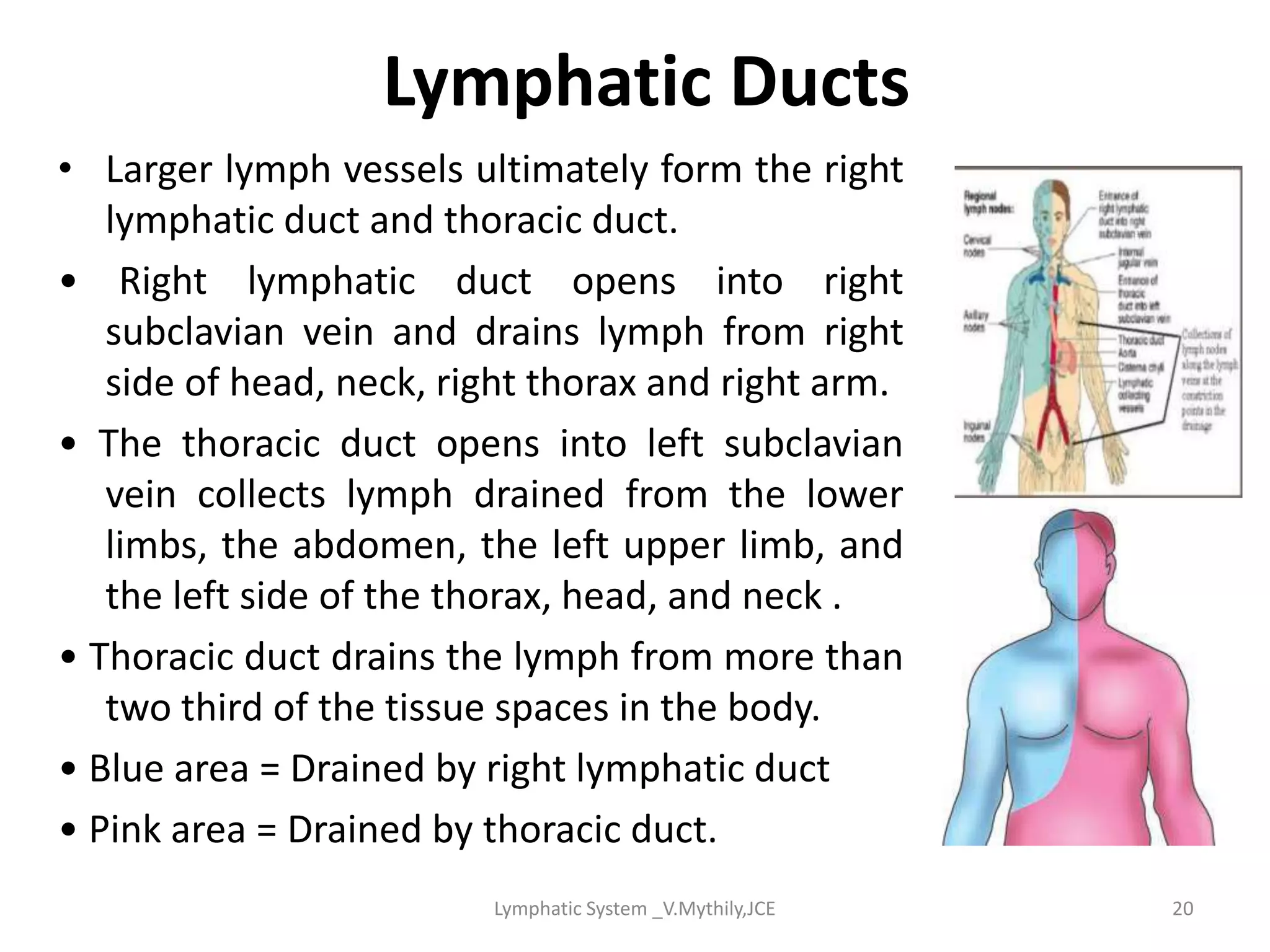Lymphatic system.ppt