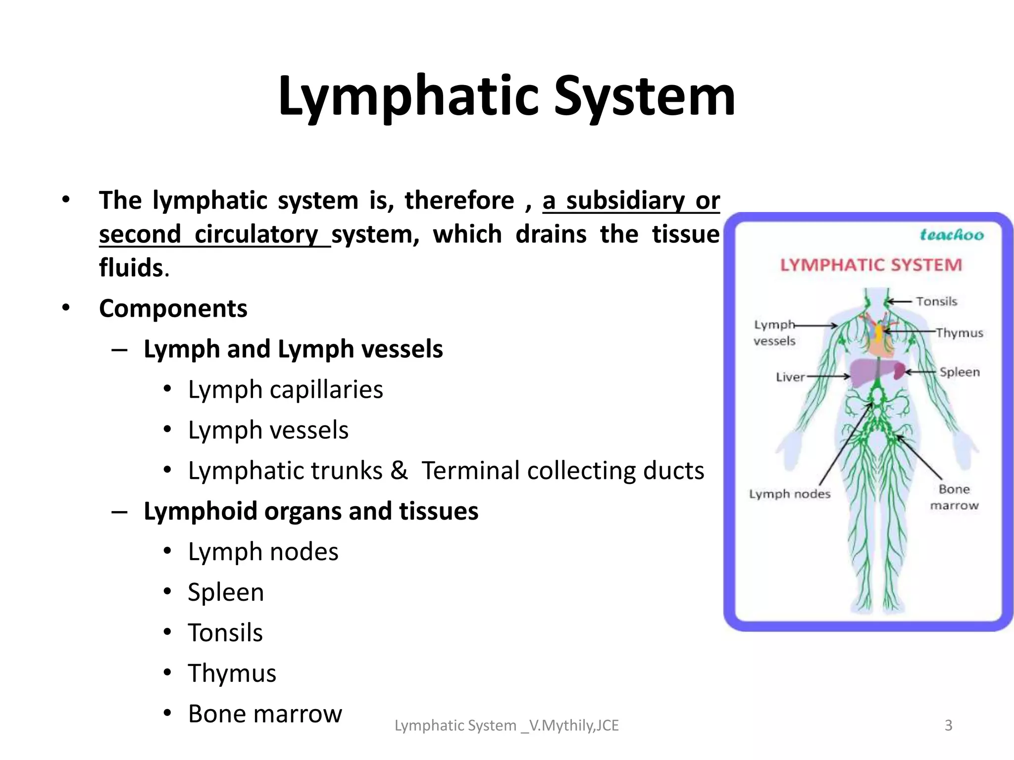 Lymphatic system.ppt