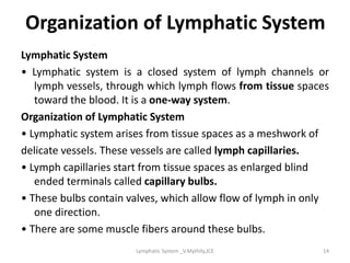Lymphatic system.ppt