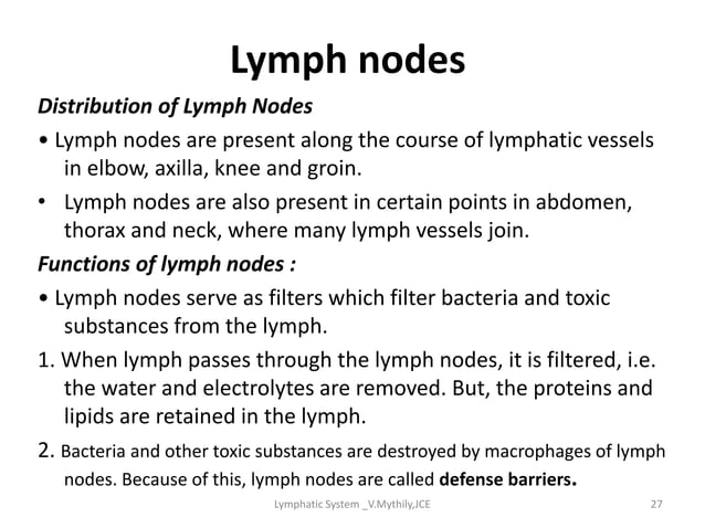 Lymphatic system.ppt