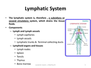 Lymphatic system.ppt