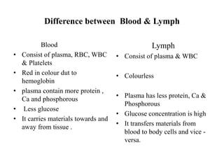 Lymphatic System.pptx