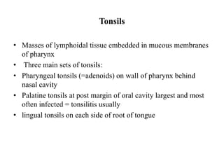 Lymphatic System.pptx
