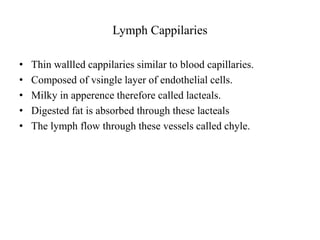 Lymphatic System.pptx