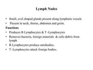 Lymphatic System.pptx