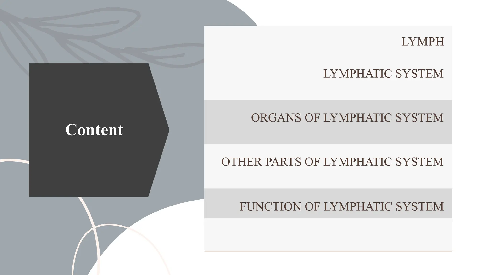 lymphatic system.pptx | Ear, Nose and Throat Conditions | Diseases and ...