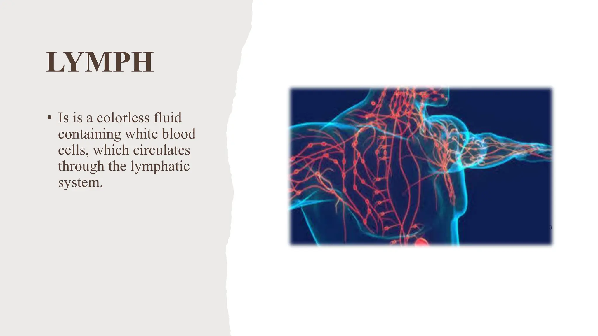 lymphatic system.pptx | Ear, Nose and Throat Conditions | Diseases and ...