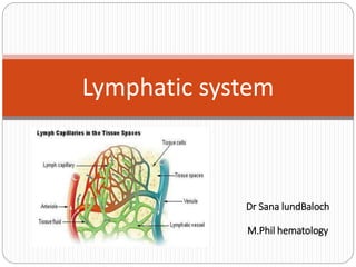 Lymphatic system.pptx