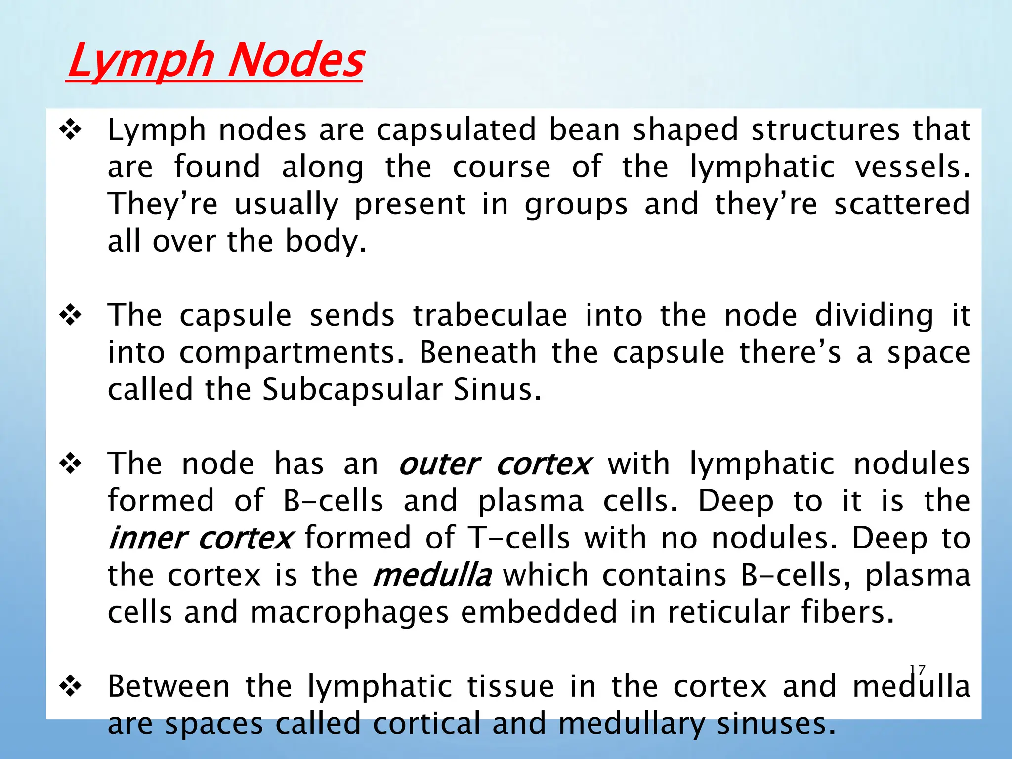 Lymphatic System anatomy and physiology ppt | PPT