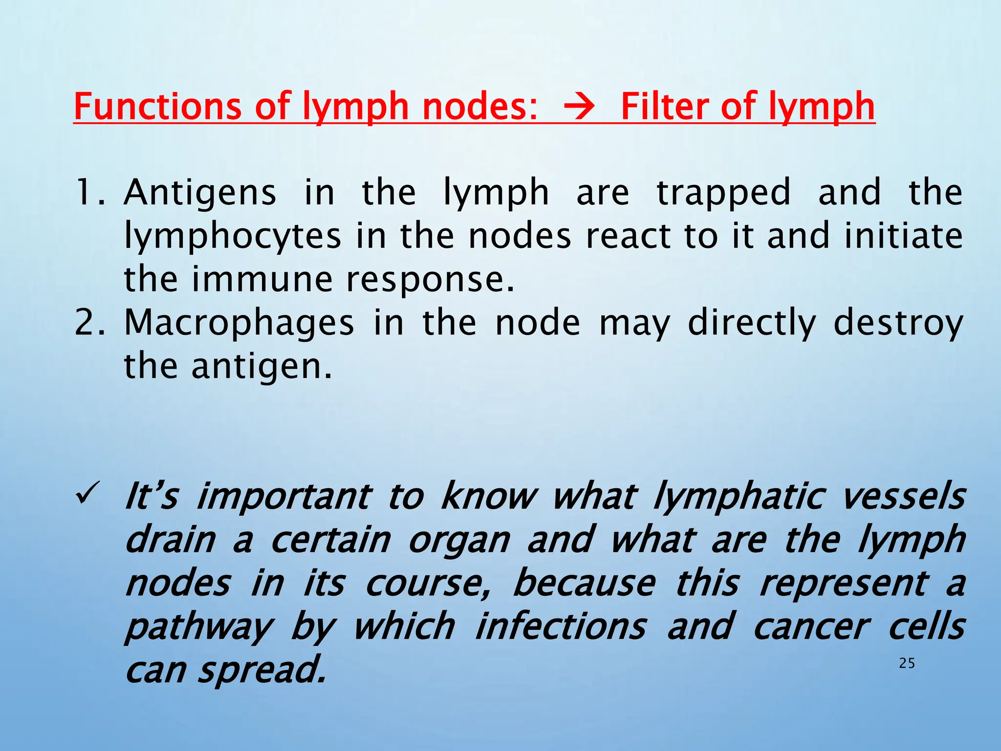 Lymphatic System anatomy and physiology ppt | PPT