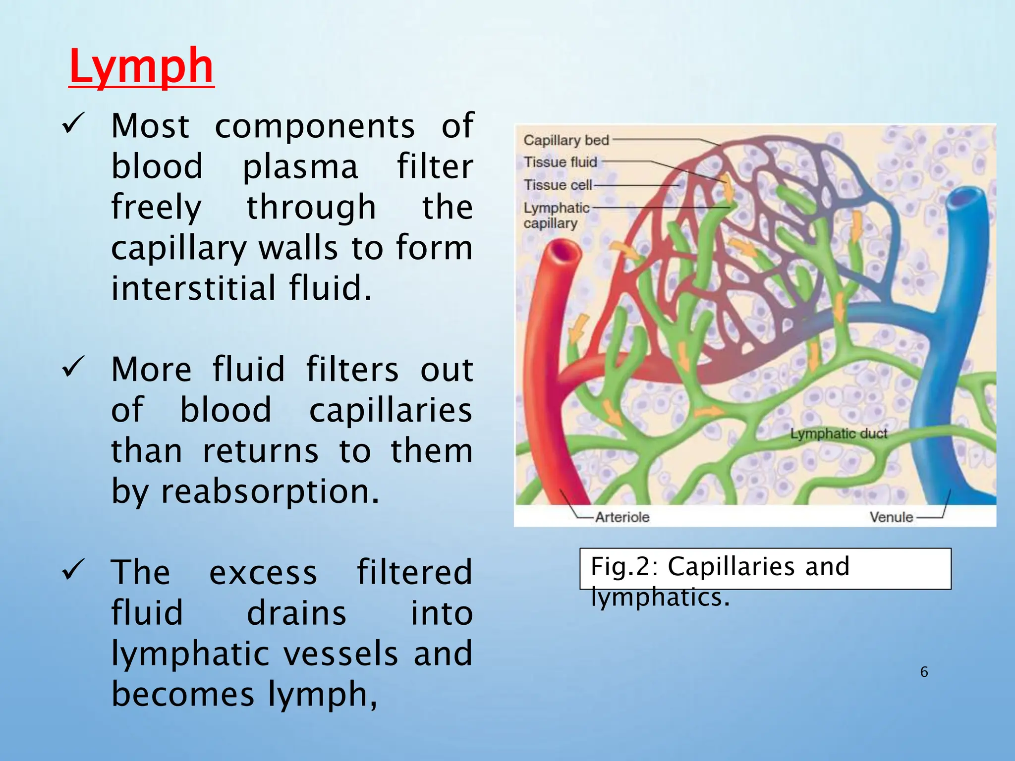 Lymphatic System anatomy and physiology ppt | PPT
