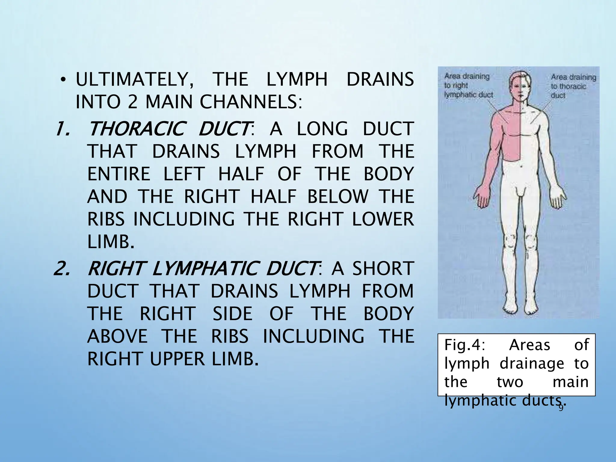 Lymphatic System anatomy and physiology ppt | PPT