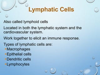 Lymphatic System anatomy and physiology ppt | PPT