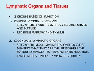 Lymphatic System anatomy and physiology ppt | PPT