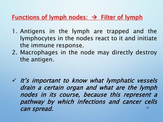 Lymphatic System anatomy and physiology ppt | PPT