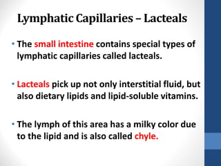 lymphatic_system.ppt1111111111111111111111111111 | PPT