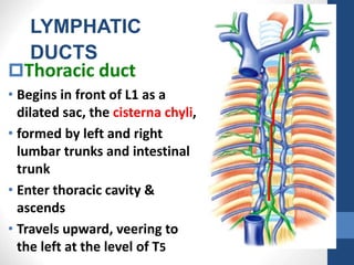 lymphatic_system.ppt1111111111111111111111111111 | PPT