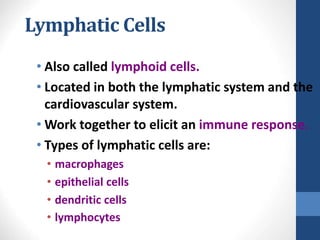 lymphatic_system.ppt1111111111111111111111111111 | PPT