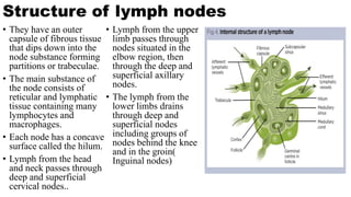 Presentation on lymphatic system.pptx