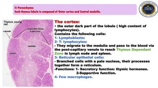 Lymphatic system | PDF